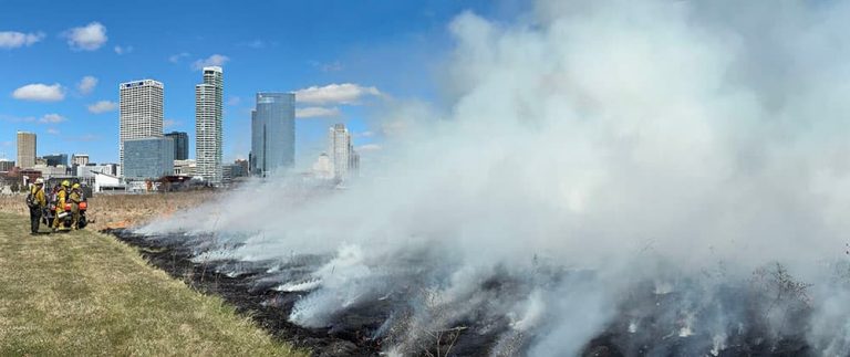 Prescribed Burn Revitalizes Prairie - Friends of Lakeshore State Park